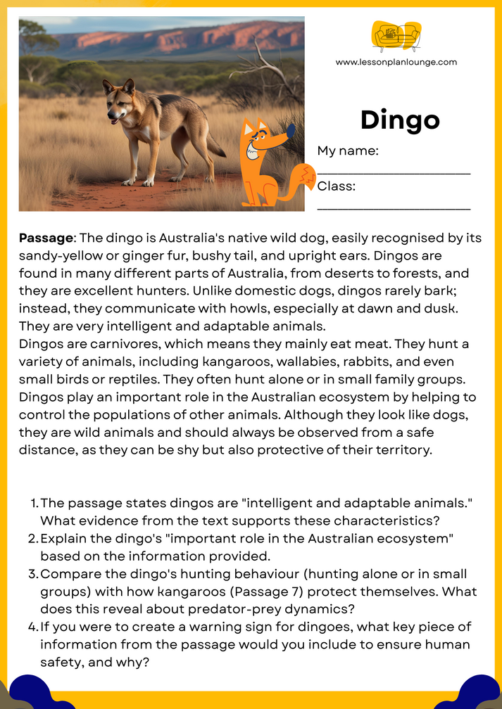 FREE Download - English - Reading - Passages – Dingo – Lesson Plan Lounge