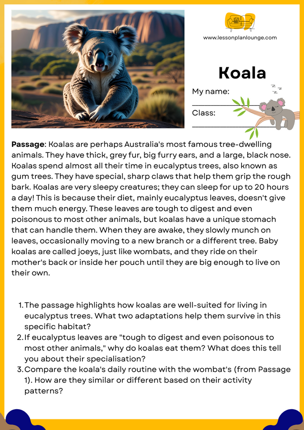 FREE Download - English - Reading - Passages – Koala – Lesson Plan Lounge